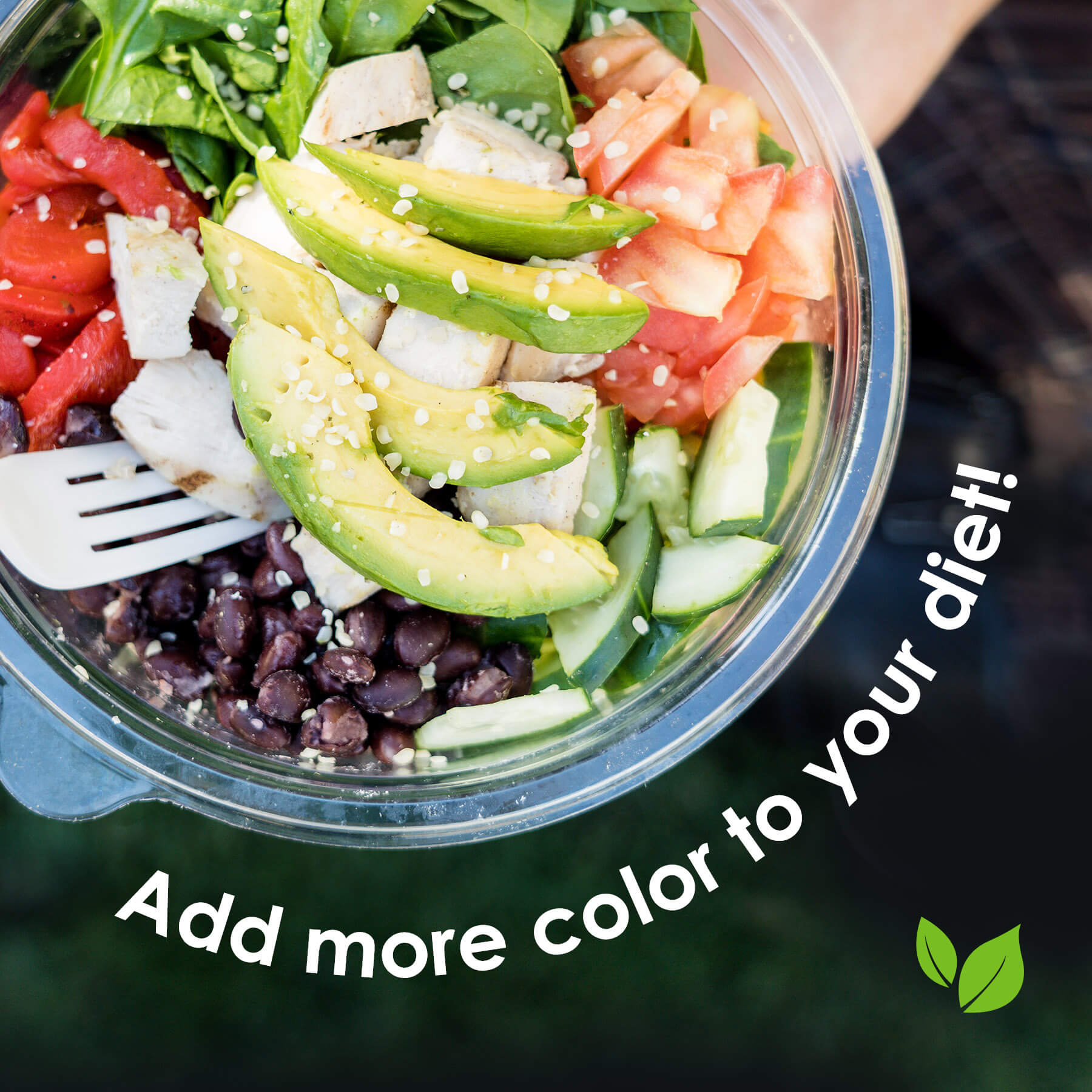 Member Spotlight: FRESH Healthy Cafe - San Marcos Chamber of Commerce